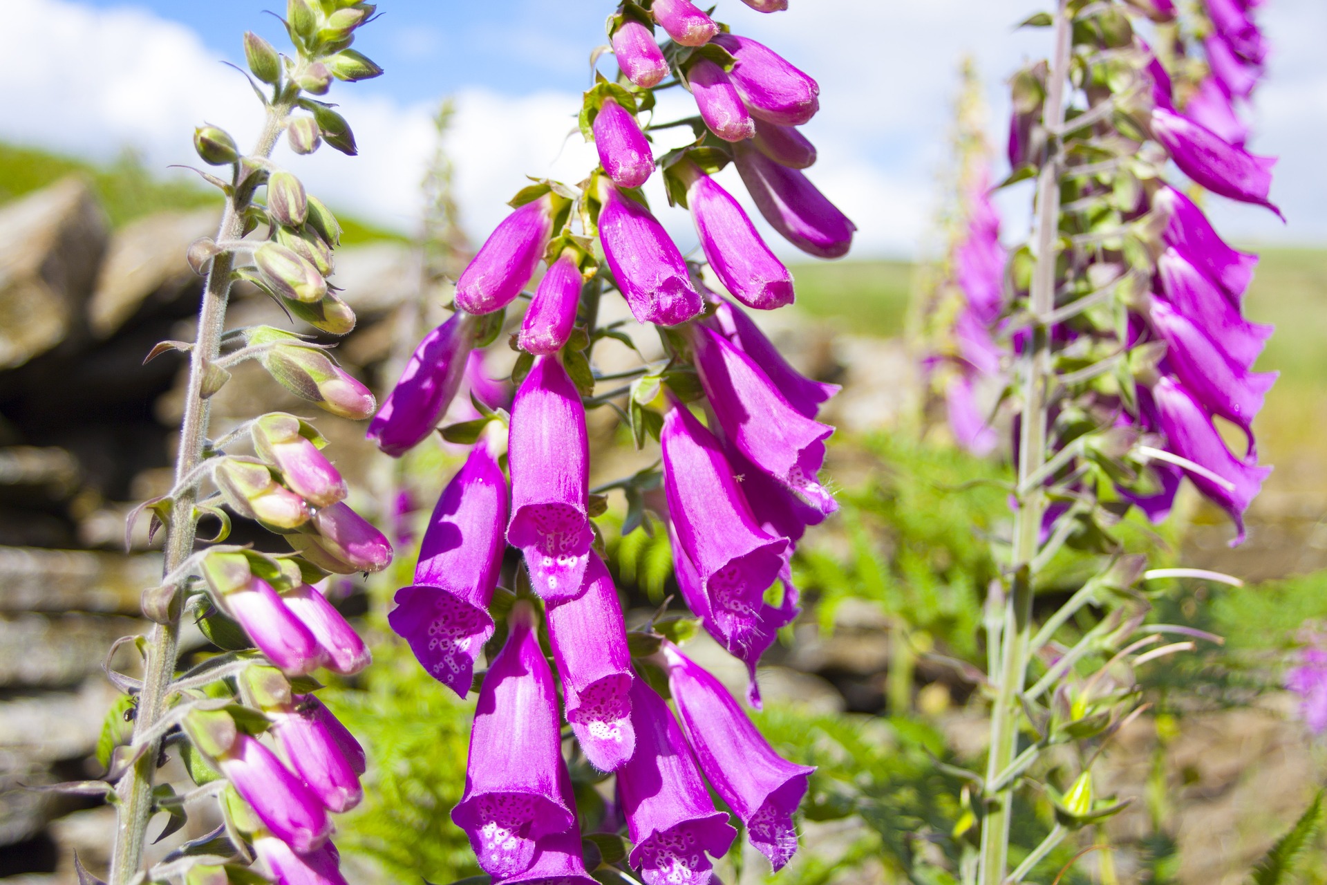Rewards of Sobriety, Reaping What We Sow | Recovery Guy